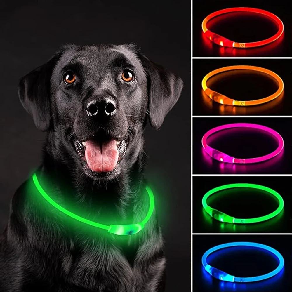 Led Dog Collar Luminous Usb Cat Dog Collar 3 Modes Led Light Glowing ...