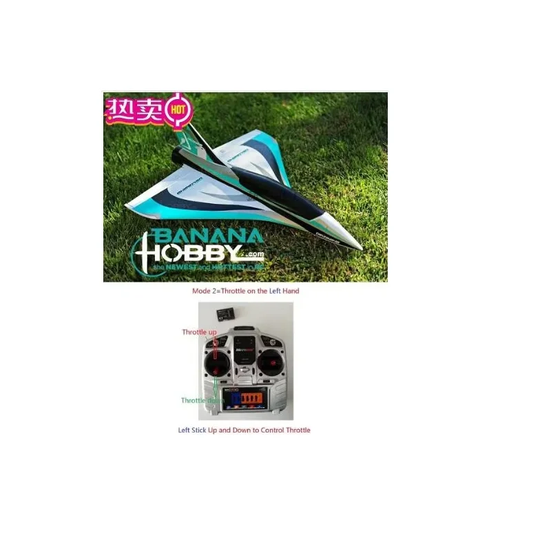 Ready-To-Fly-RTF-Version-Mini-Blackbirds-Delta-Wing-50mm-RC-Airplane ...