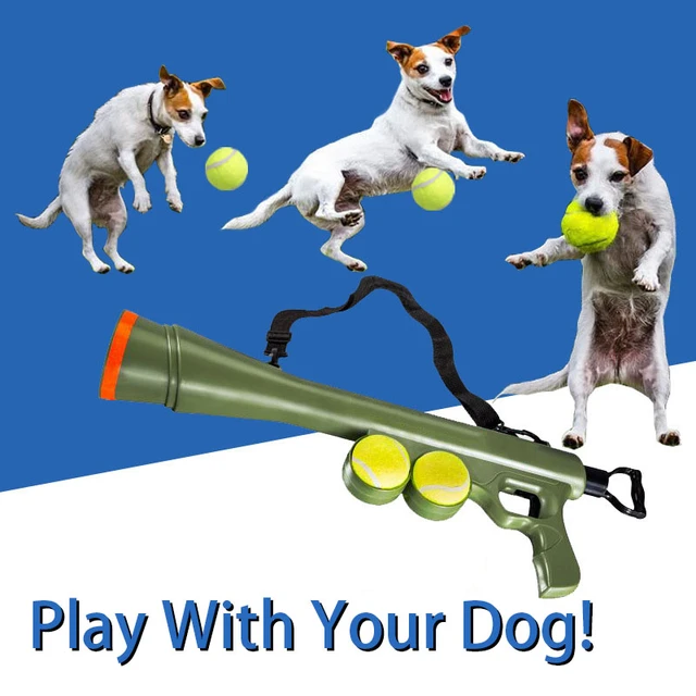 Dog Shooting Gun