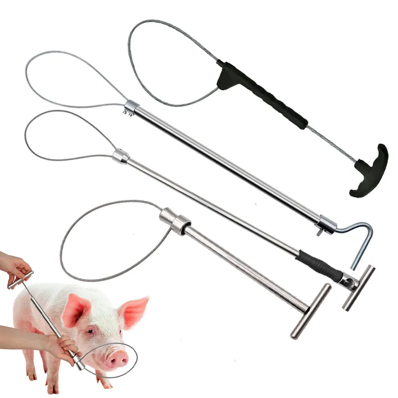1Pcs Wired Catching Pig Lasso Baoding Pig Head Grab Pig Device Pig ...