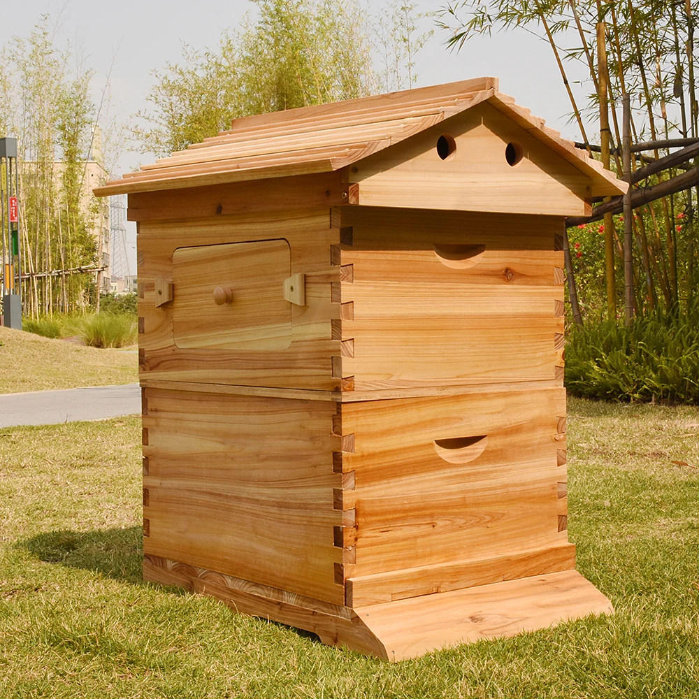 Self-flowing-Beehive-Wooden-Bee-Box-Automatic-Bee-with-7pcs-Bee-Nest ...