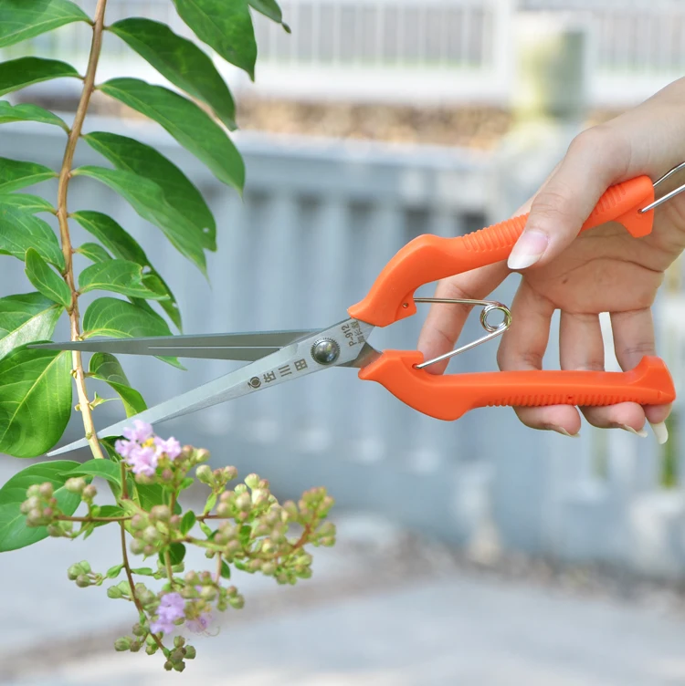 Lengthened-Fruit-Picker-Fruit-Picking-Scissors-Grape-Scissors-Black ...
