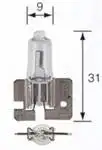 48720-W-H2-bulb-24V-70W-H2.jpg
