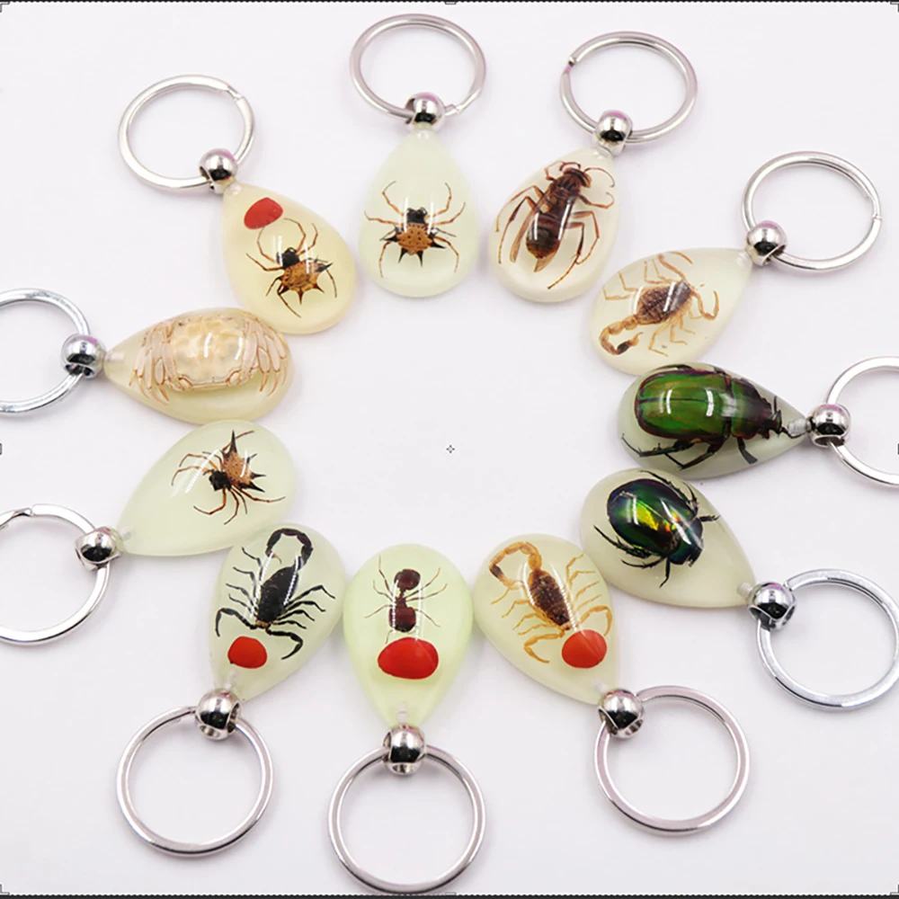 Transparent Insect Keychain Natural Resin Amber Key Pendant Real Insect ...
