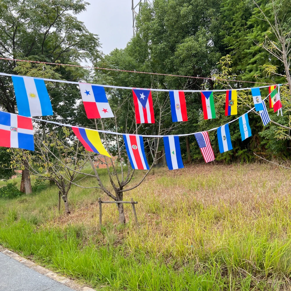 Latin American Flags Banner