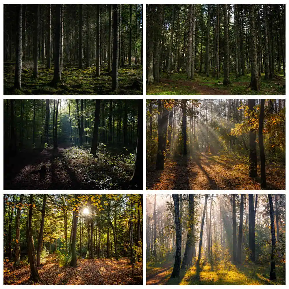 MOON-QG-Enchanted-Forest-Photography-Backdrop-Natural-Spring-Summer ...