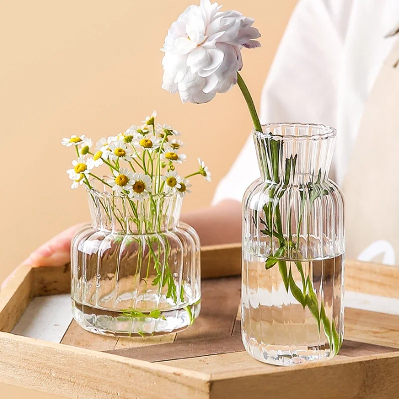Transparent Glass Vases for Plant Bottle Flower Pot Nordic Creative ...