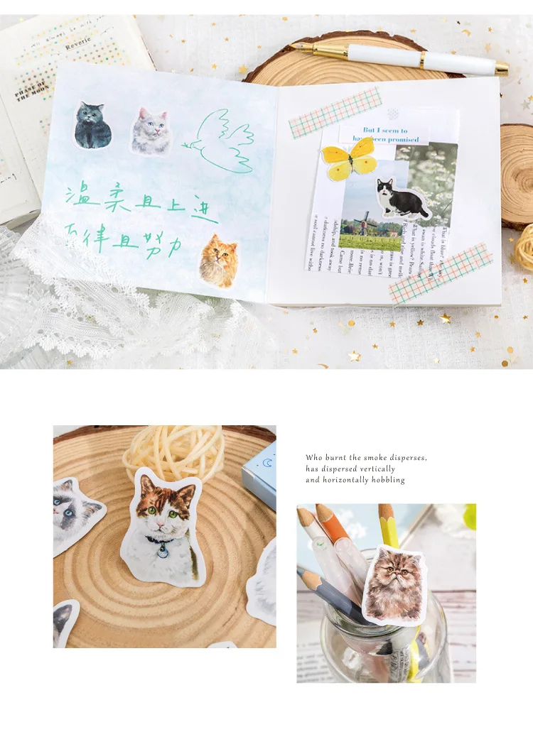 46pcs Cute Cat Diary Decorative Boxed Stickers Kawaii Pets Scrapbooking ...