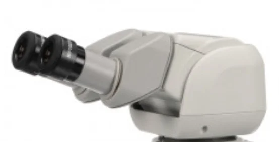 Scientific-Ergo-Binocular-Zoom-Stereo-Microscope-with-Extended-Zoom ...