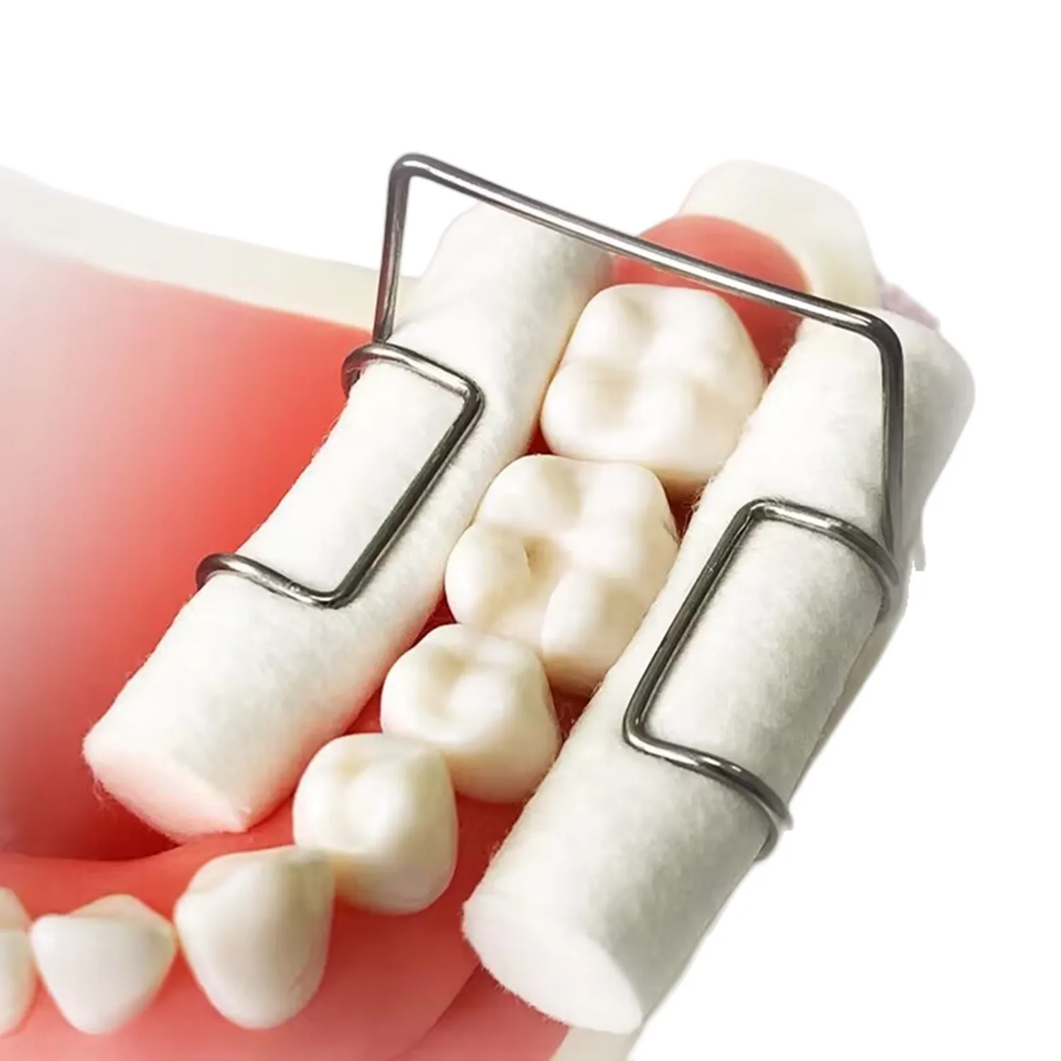 Dental-ortod-ntico-clipe-de-rolo-de-algod-o-clipe-esteriliz-vel-inoxid ...