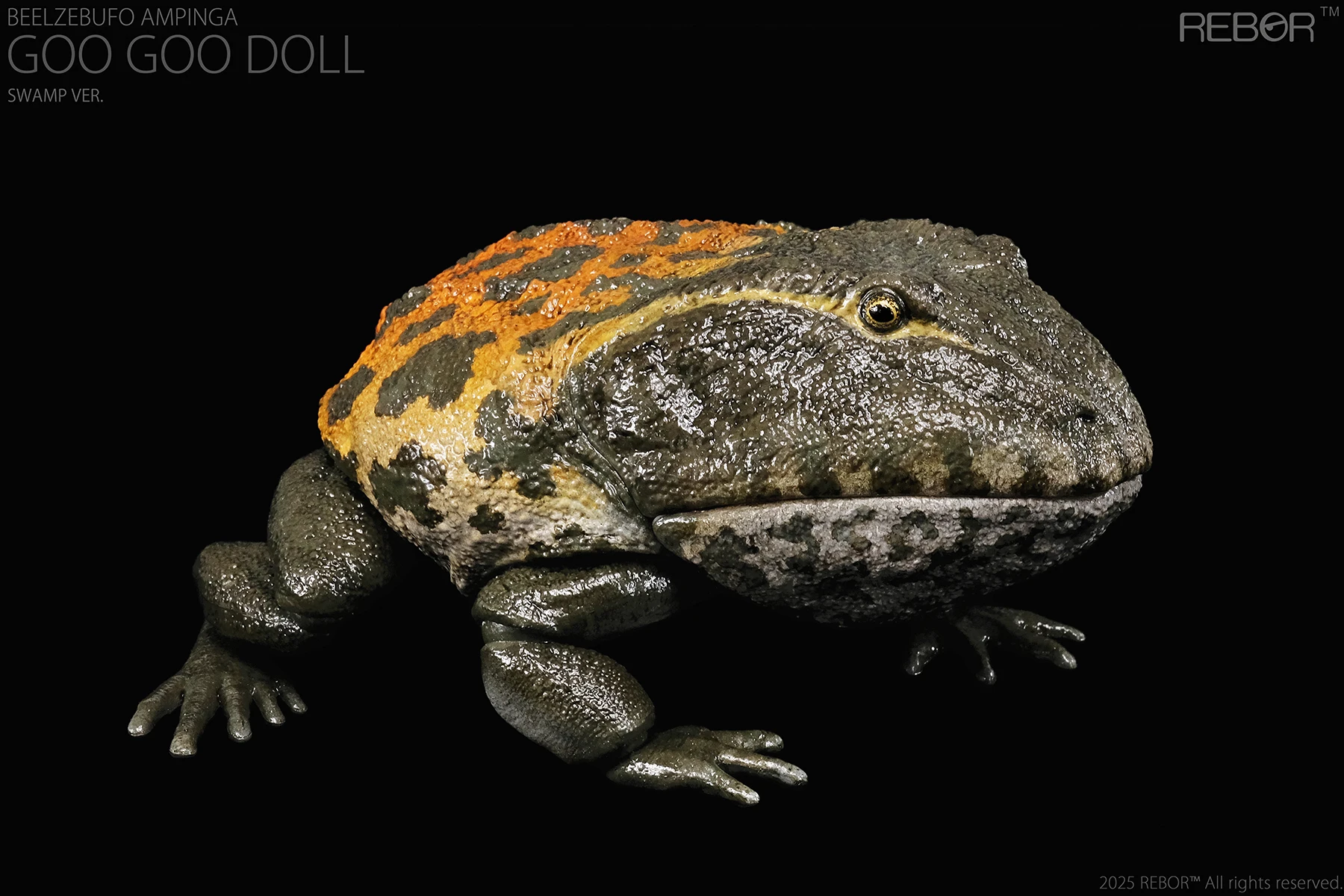 Rebor 1:2 Scale Poseable Beelzebufo Ampinga/cornuta Toy Frog Model ...