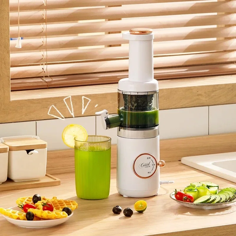 NEW-Electric-Fruit-Vegetable-Juicer-Machine-Mini-Slow-Juicer-Screw-Cold ...