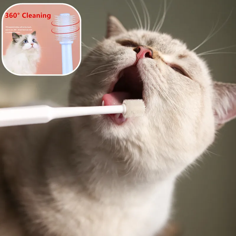 Cat-Toothbrush-Soft-Hair-Brush-for-Cats-Mouth-Cleaning-Cat-Brush-for ...