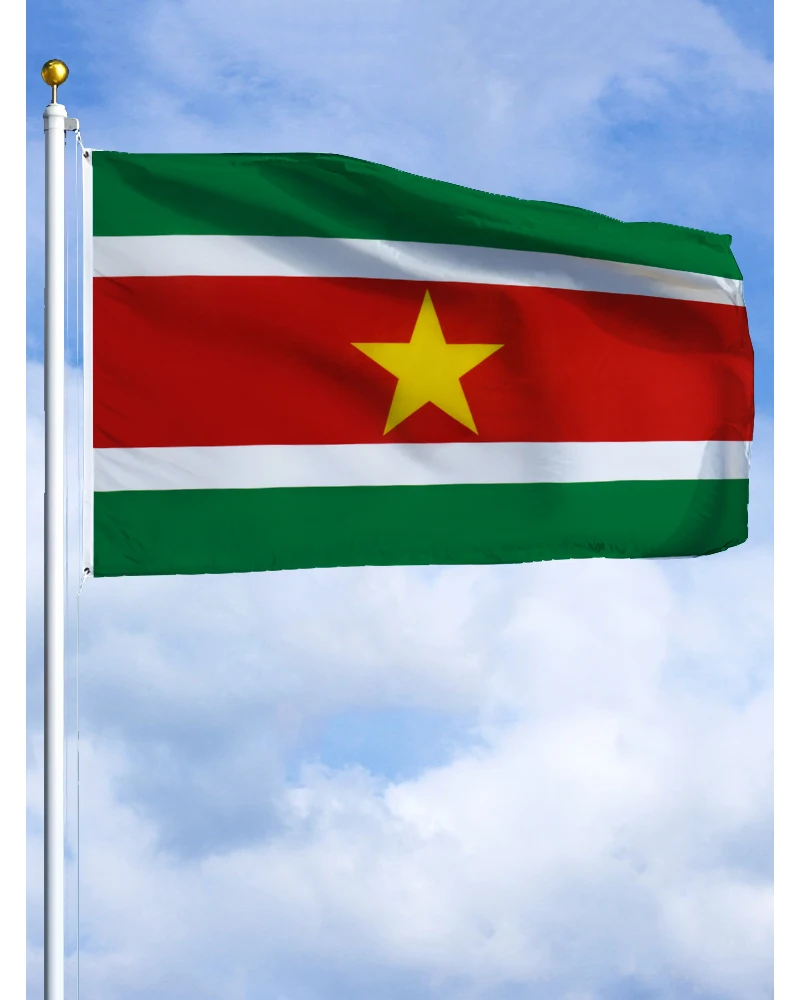 60-90-90x150-120-180CM-Suriname-Emblem-Flag-Polyester-Printed-Banner ...