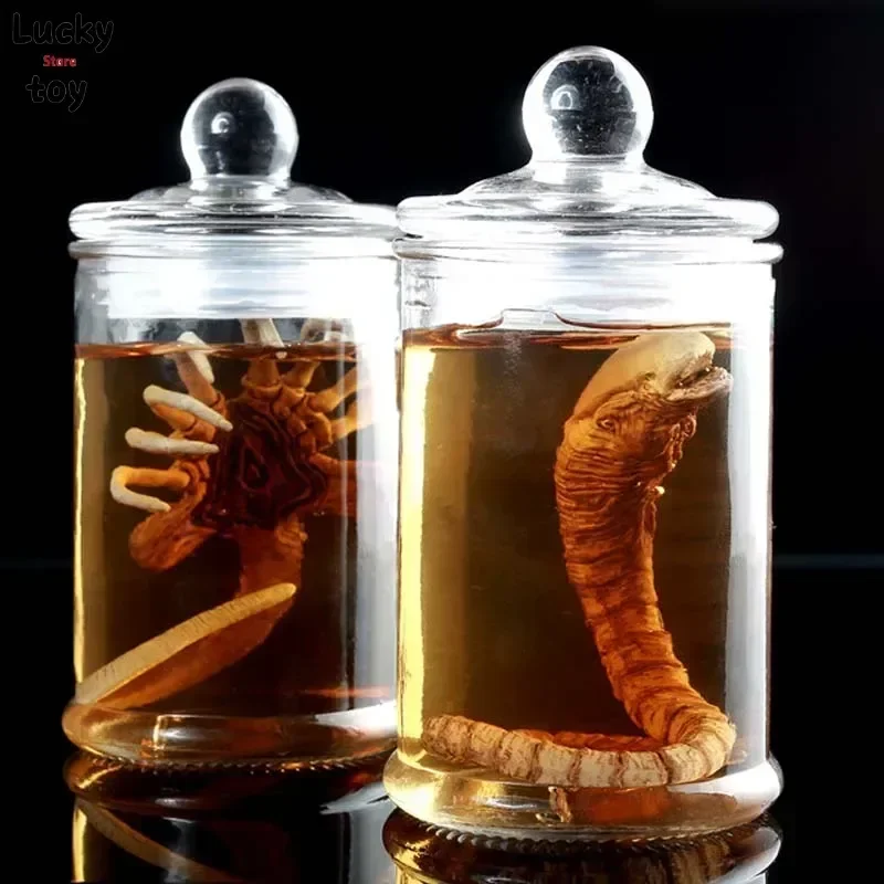 Mnotht 1/6 Solider Scene Model SG001/SG002 Predator Alien Larva Face ...