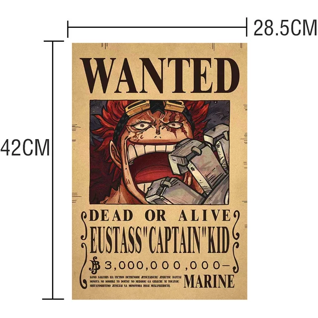 Cartaz De Procurado De One Piece Luffy Carteira Em Tecido Cartaz De