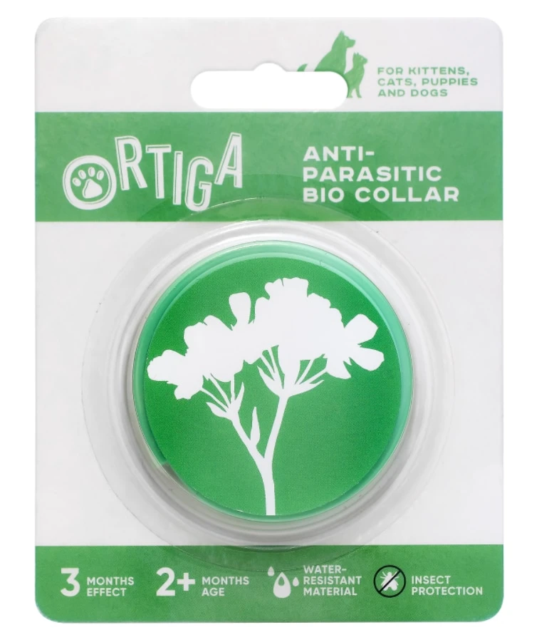 Can Dogs Have Menthol
