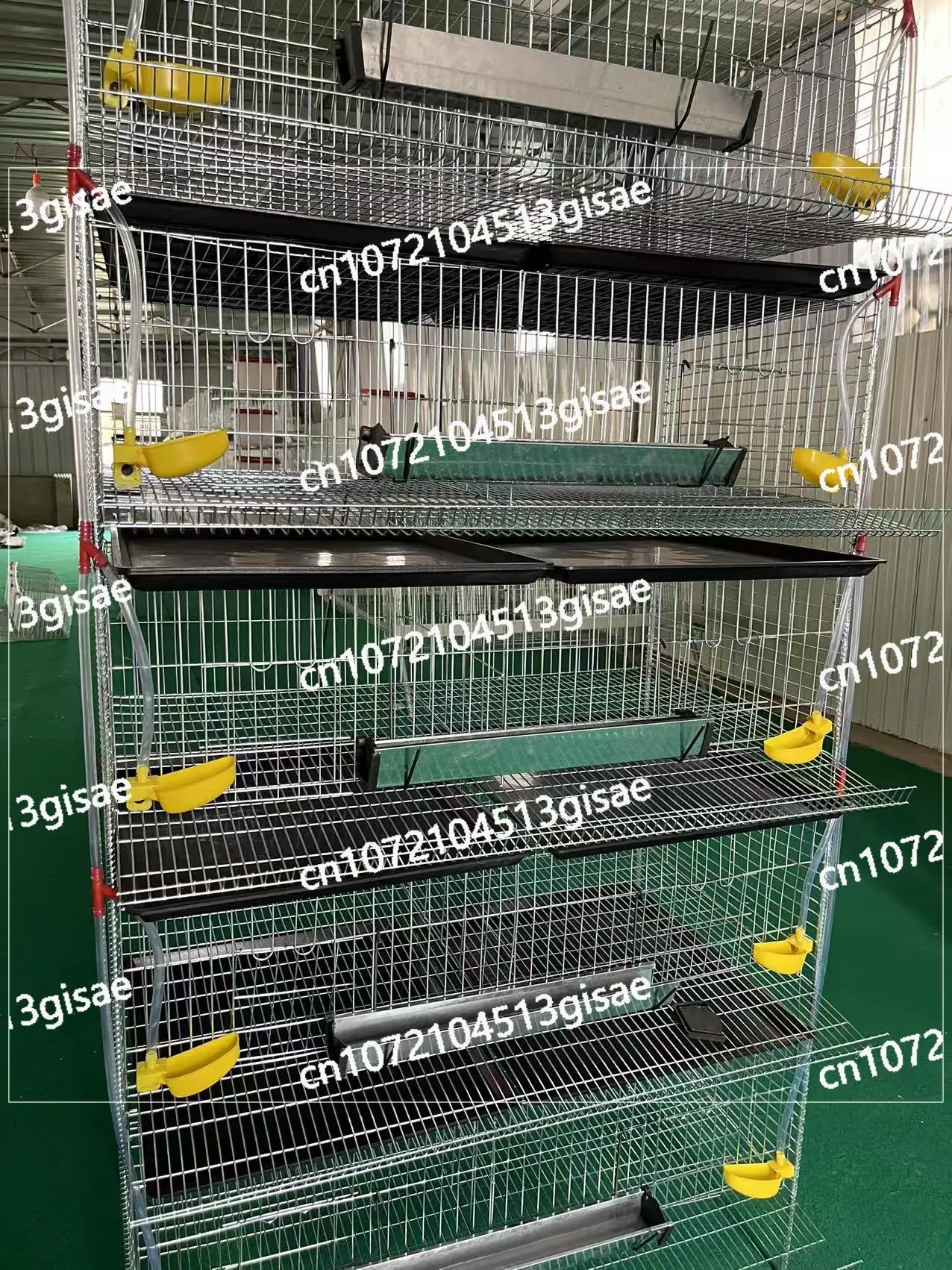 Quail Partridge Cage with 25cm Height and Large Space Vertical ...