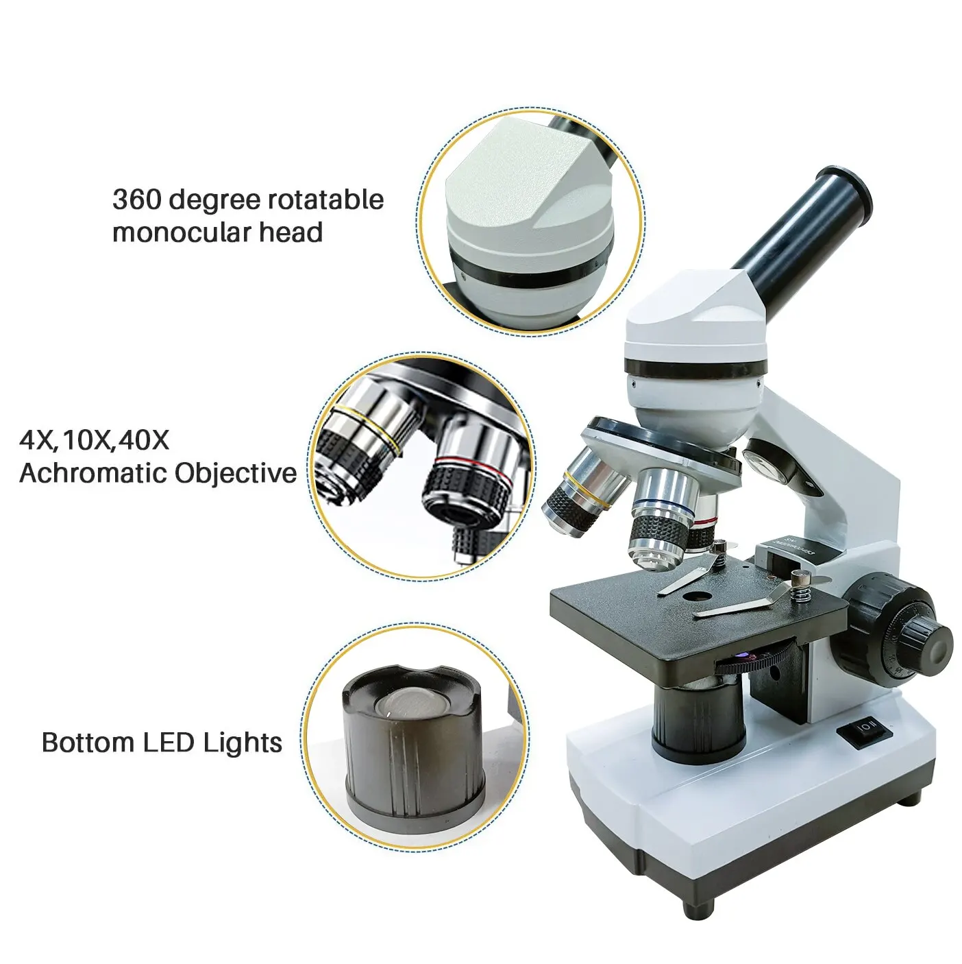 Compound Microscope Slides