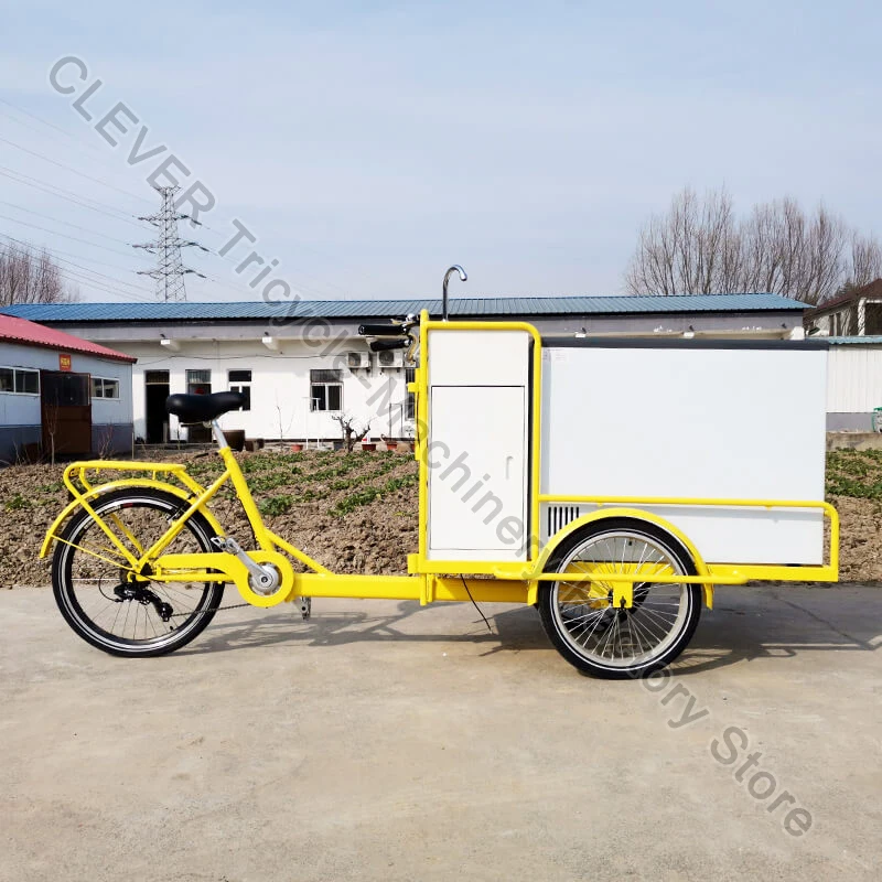Mobile-3-Wheels-Ice-Cream-Cargo-Bike-Outdoor-Electric-Vending-Tricycles ...