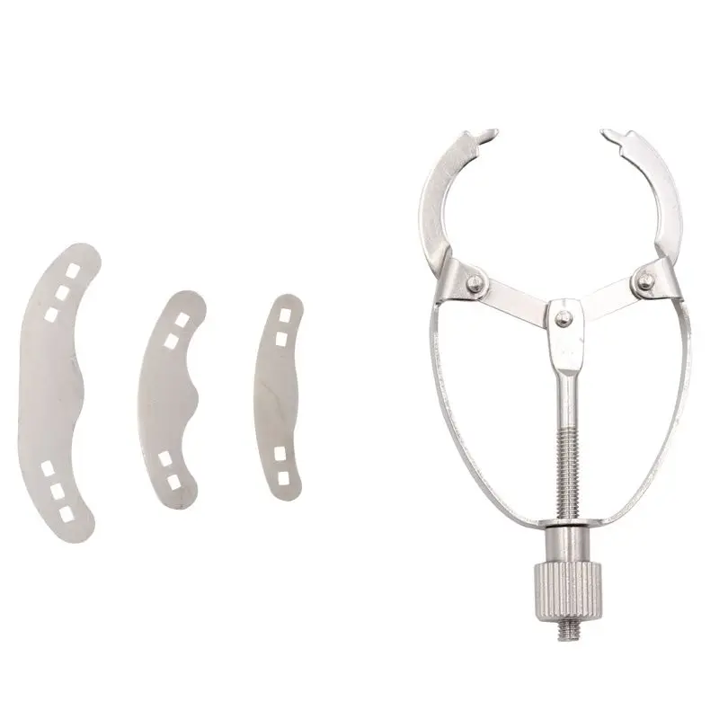 20Pcs-Ivory-Matrix-Band-Matrix-Band.jpg