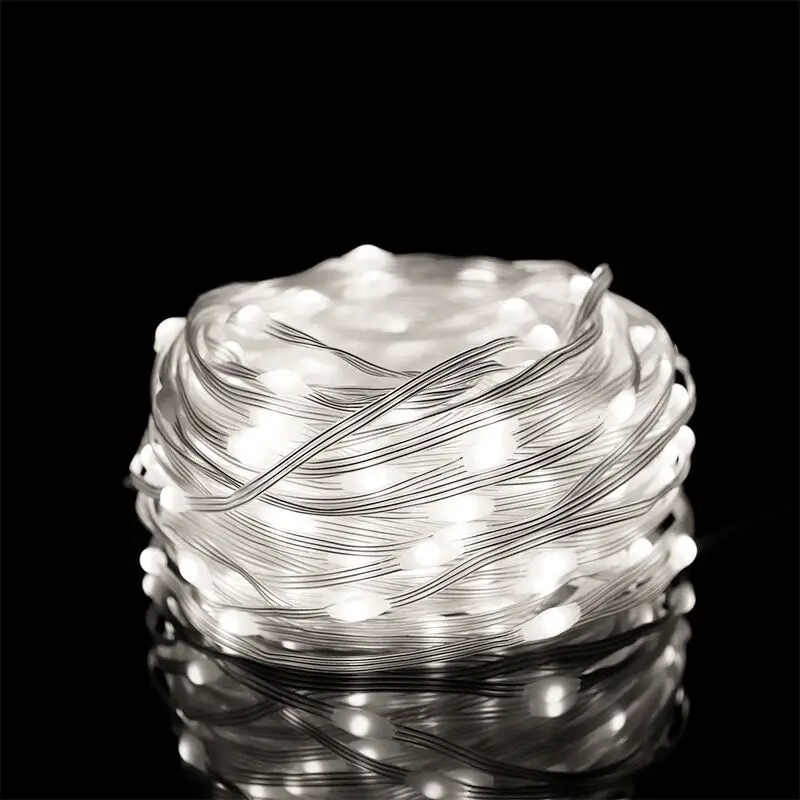 20M-200LEDs-24V-Low-voltage-LED-Fairy-String-Lights-PVC-Wire-Plug-in-8 ...