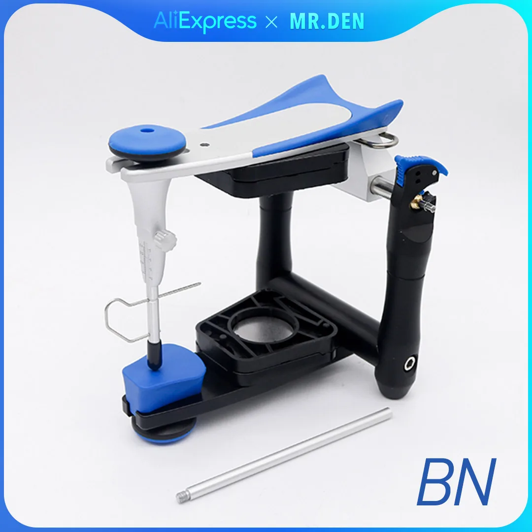 Dental-Artex-BN-Model-Functional-Articulator-Teeth-Model-Accurate-Scale ...