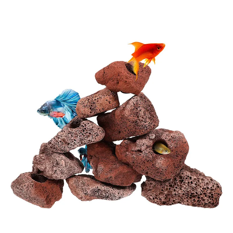 Open-Hole-Rock-Fish-Shrimp-Shelter-Pottery-Volcanic-Stone-Moss-Water ...