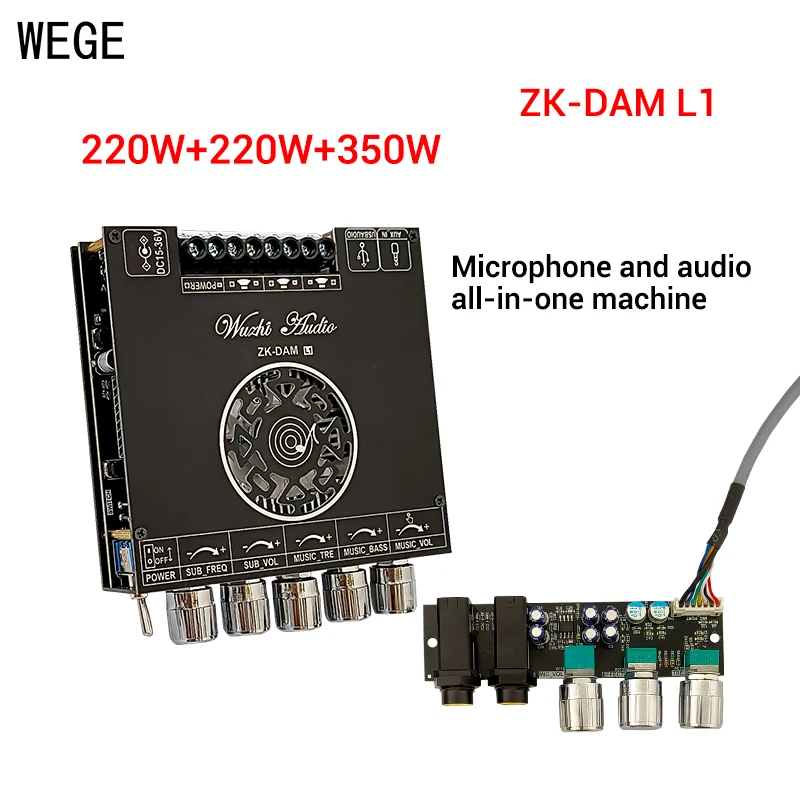 WEGE ZK-DAM L1 Integrated 220W * 2+350W Karaoke Singing Microphone ...