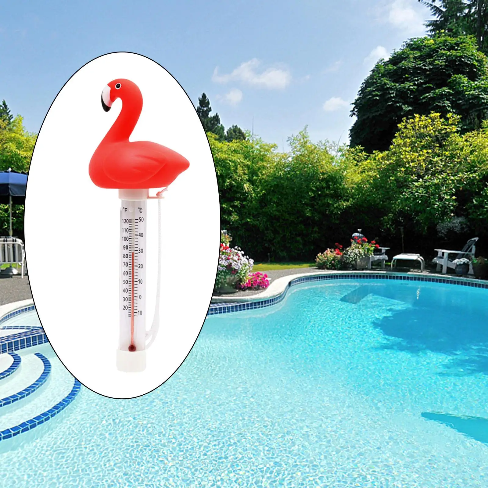 Floating-Pool-Thermometer-Cute-Water-Temperature-Thermometer-for ...