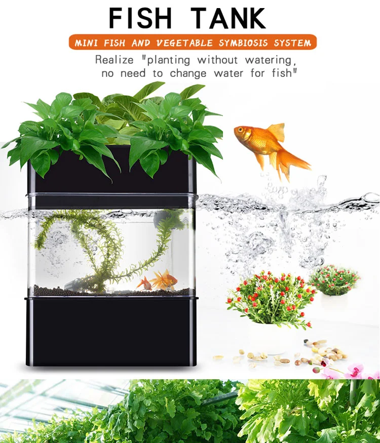 Mini Hydroponics Aquaponics Plant Growing Systems With Fish Tank ...
