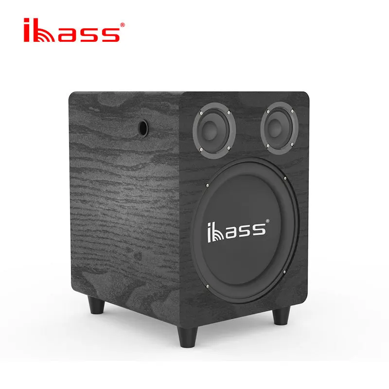Ibass-TV-10.jpg
