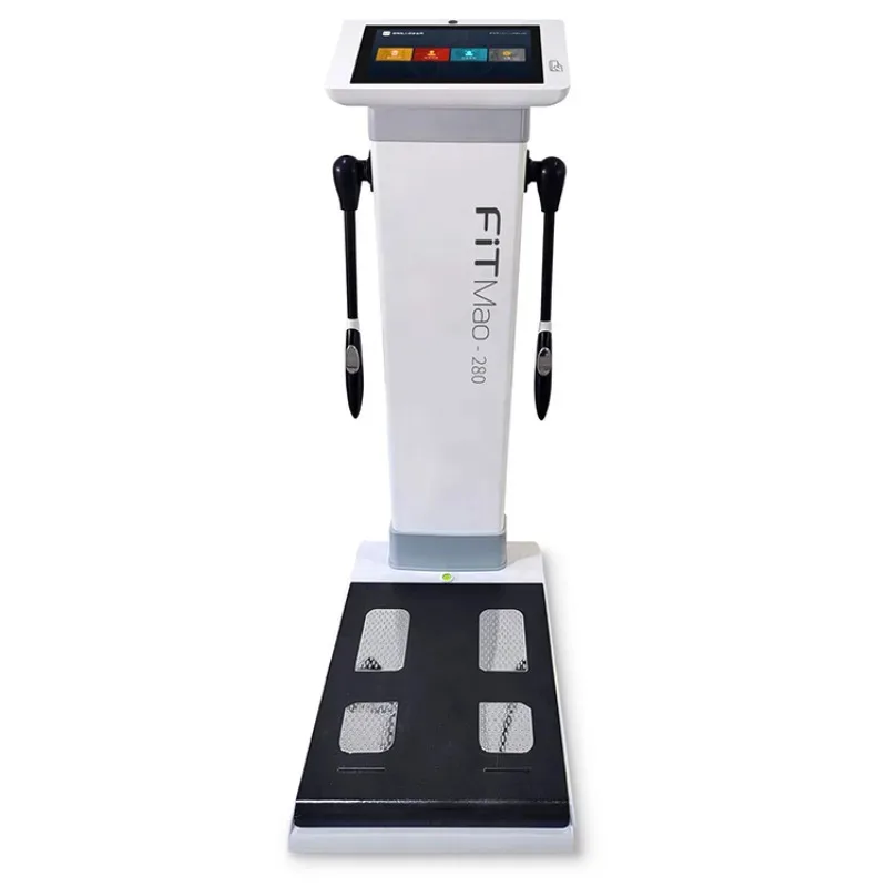 Digital Body Fat Analyzer: How This Machine Transformed My Fitness ...