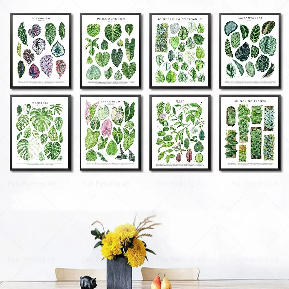 Botanical-House-Plant-Canvas-Painting-Educational-Poster-Leaves-Print ...