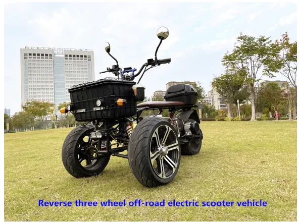 Strong-power-Reverse-three-wheel-off-road-chain-motor-electric-vehicle ...