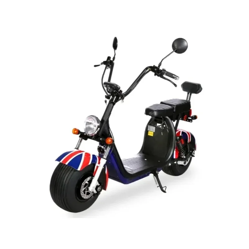 2024-Hot-Selling-1500W-Fat-Tire-Suspension-Electric-Motorcycle-Urban ...