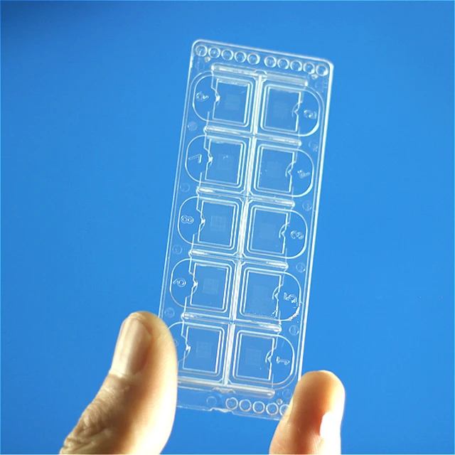 Hemocytometer Slide