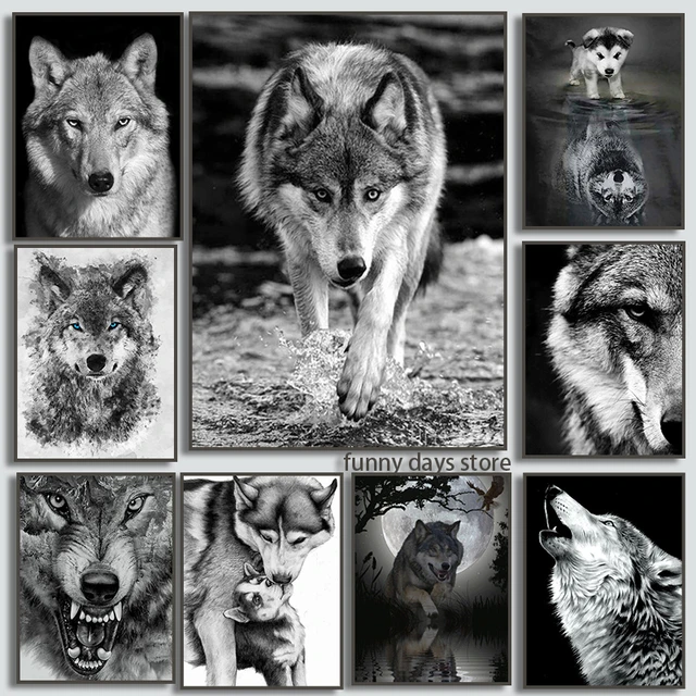 Wolf Pack Black And White Photography