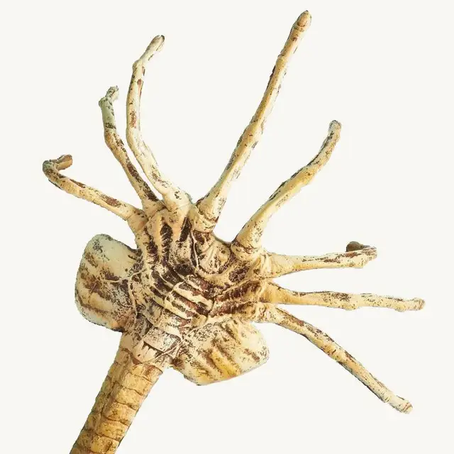Facehugger Toys Face Hugger Toys Etsy Nederland