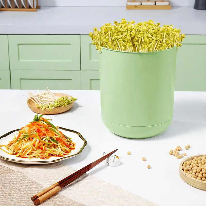 Bean Sprout Box Bean Germination Pot With Lid Larger Capacity Healthy ...