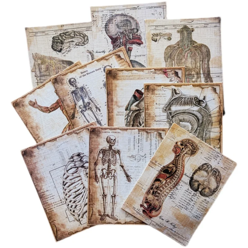 10-Pcs-Vintage-Human-Anatomy-Craft-Paper-Junk-Journal-Ephemera-Antique-Medical-Collage-DIY-Album ...