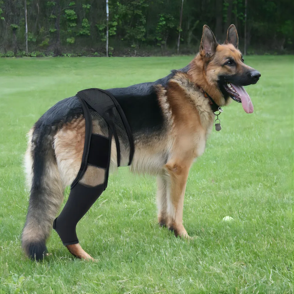 Dog Leg Support Injuried For Post-operative Fixation Pet Knee Pads For ...