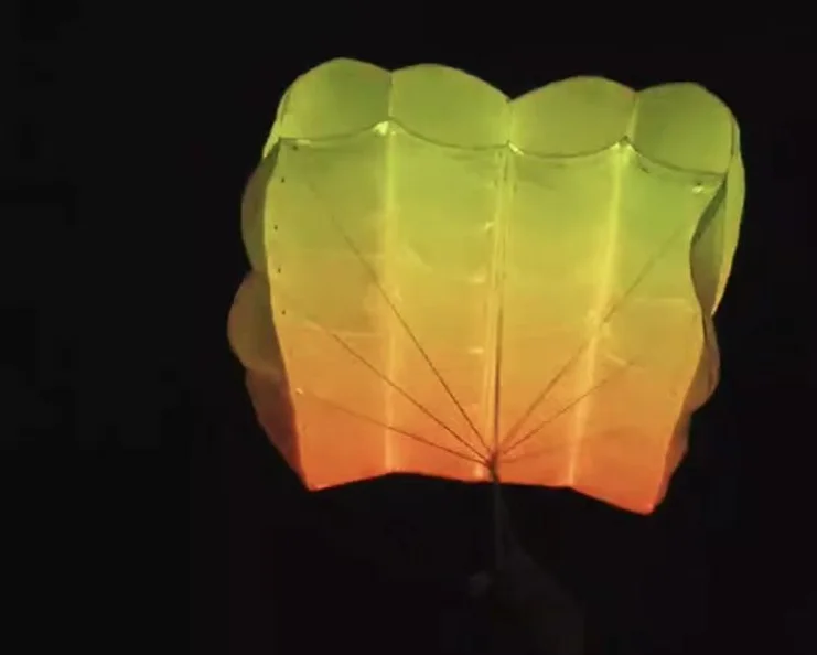 led-Pilot-Kite-fly-floatant-Koi-carp-popit-giant-flying-toys-ripstop ...