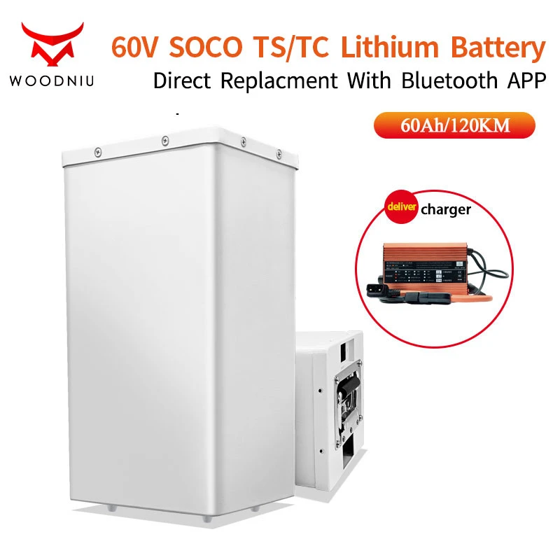60v 55ah 60ah Large Capacity Battery For Super Soco Ts Tc Ant Bms ...