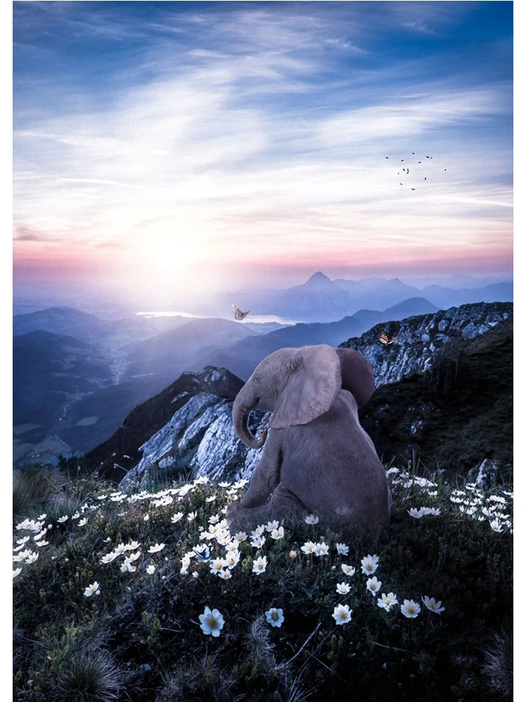 Elephants Wallpaper Tumblr