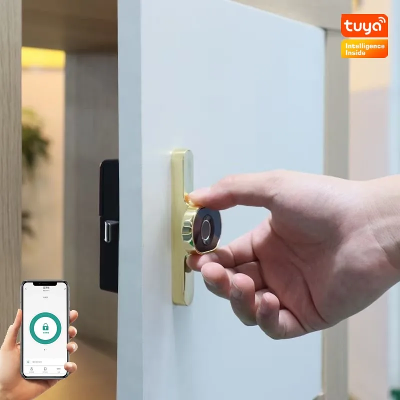 Tuya-Smart-Wooden-Door-Drawer-Lock-Fingerprint-Tuya-APP-Unlock-Cabinet ...