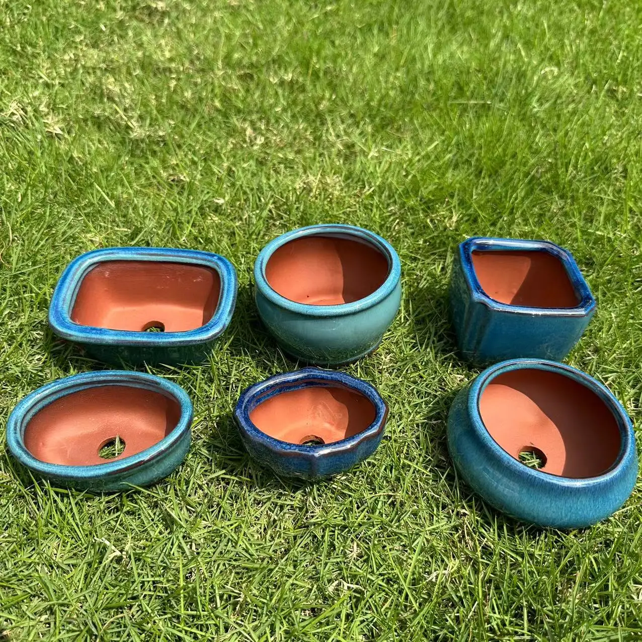 Durable-purple-clay-flowerpot-succulent-plant-miniature-potted-plant ...