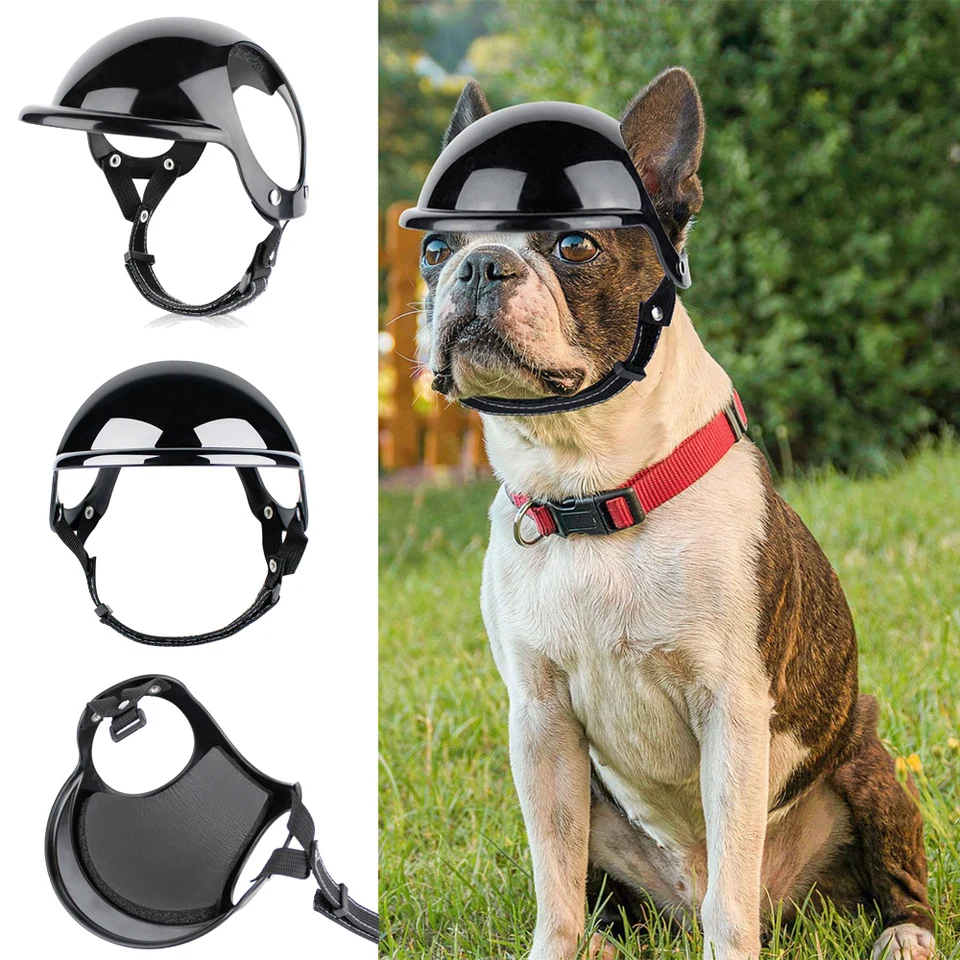 Can You Take A Bulldog Hiking
