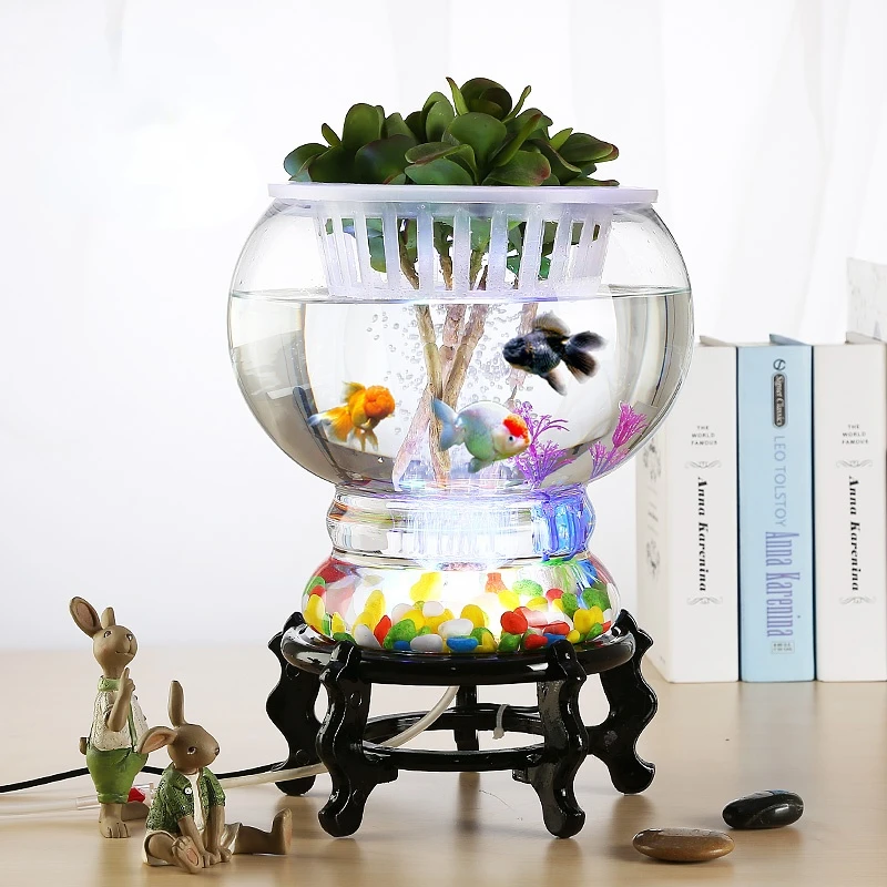 Smallest Fish Tank In The World