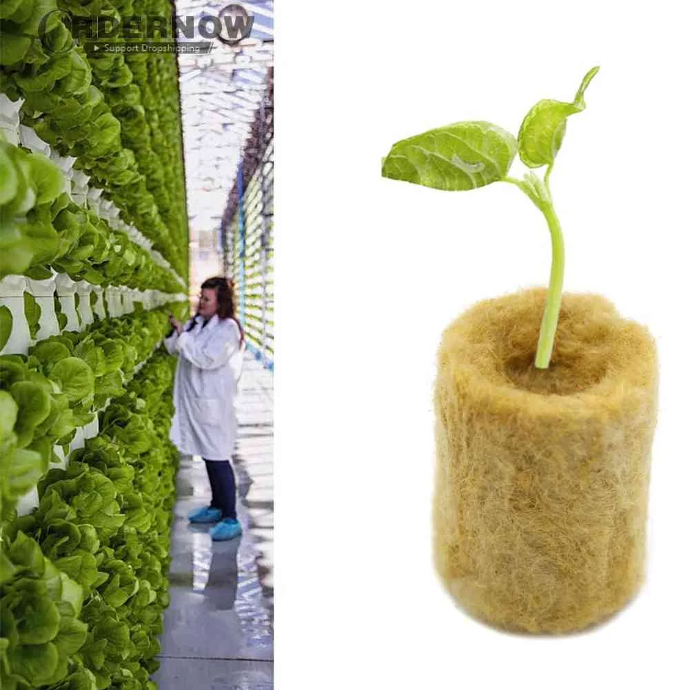 50/100pcs Single Hole Grow Media Plug Starter Cubes Rock Wool Plant ...